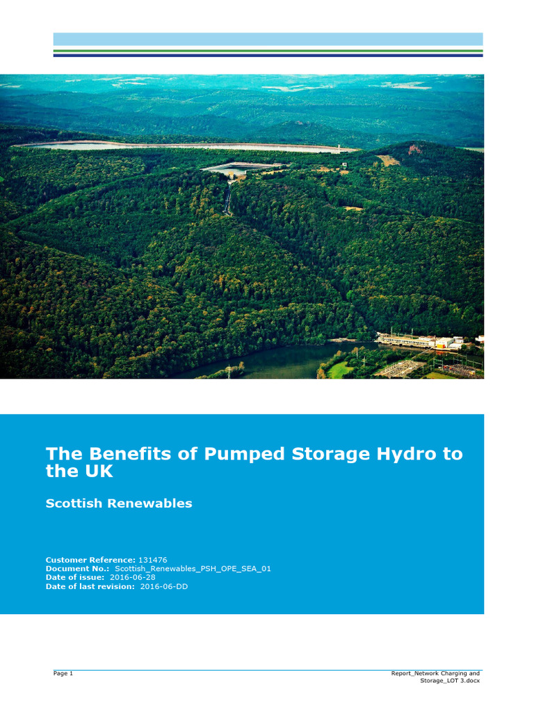 Pumped Storage Report | PDF | Energy Storage | Hydroelectricity