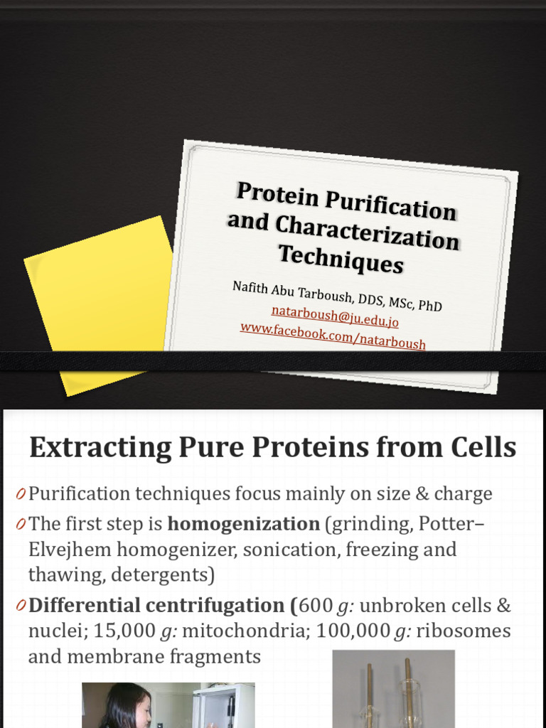 Protein Purification Techniques Pdf Proteolysis Chromatography