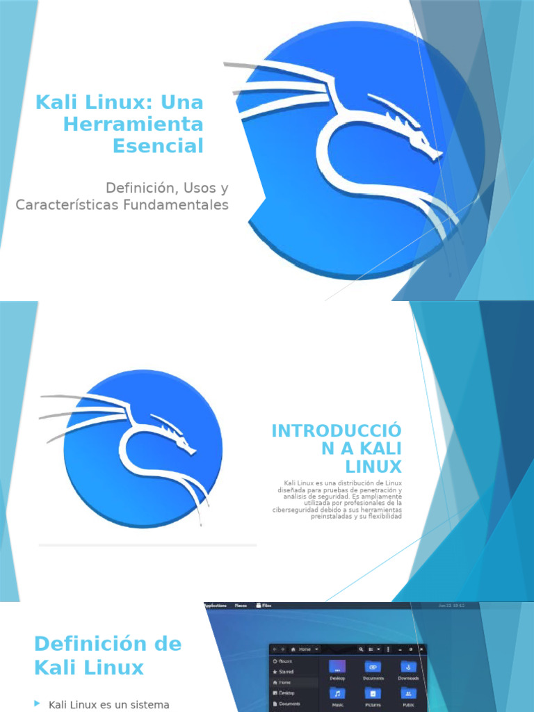 Kali Linux Presentación | PDF | La seguridad informática | Seguridad