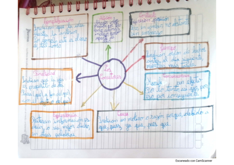 Organizador Grafico de Lengua | PDF