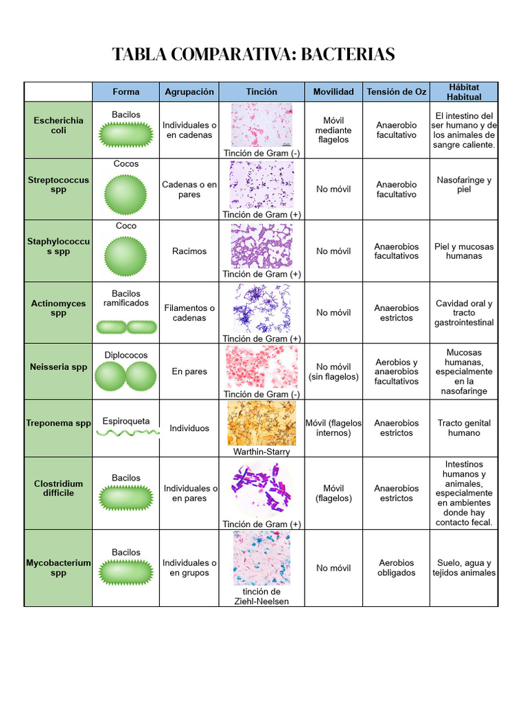 Comparativa de Bacterias: Tipos y Hábitats | PDF | Las bacterias | Microorganismo
