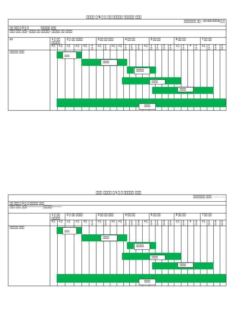 General 5's' Implementation Plan | PDF
