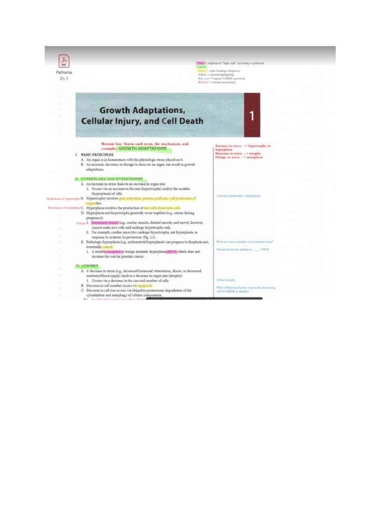 Pathoma ch1 | PDF