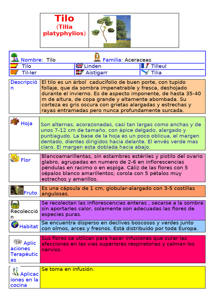 Tilo | PDF | Cocina, comidas y vino | Hogar, jardinería y bricolaje