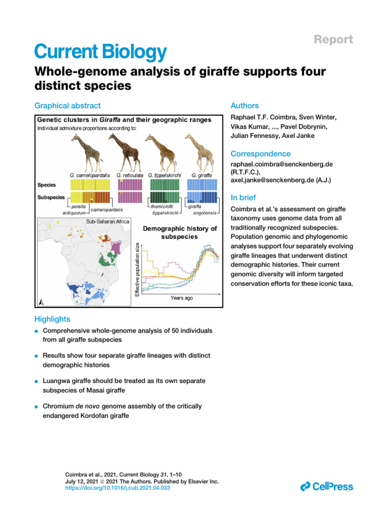 Whole-Genome Analysis of Giraffe Supports Four Distinct Species | PDF ...