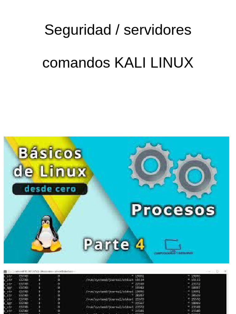 Seguridad - Servidores | PDF