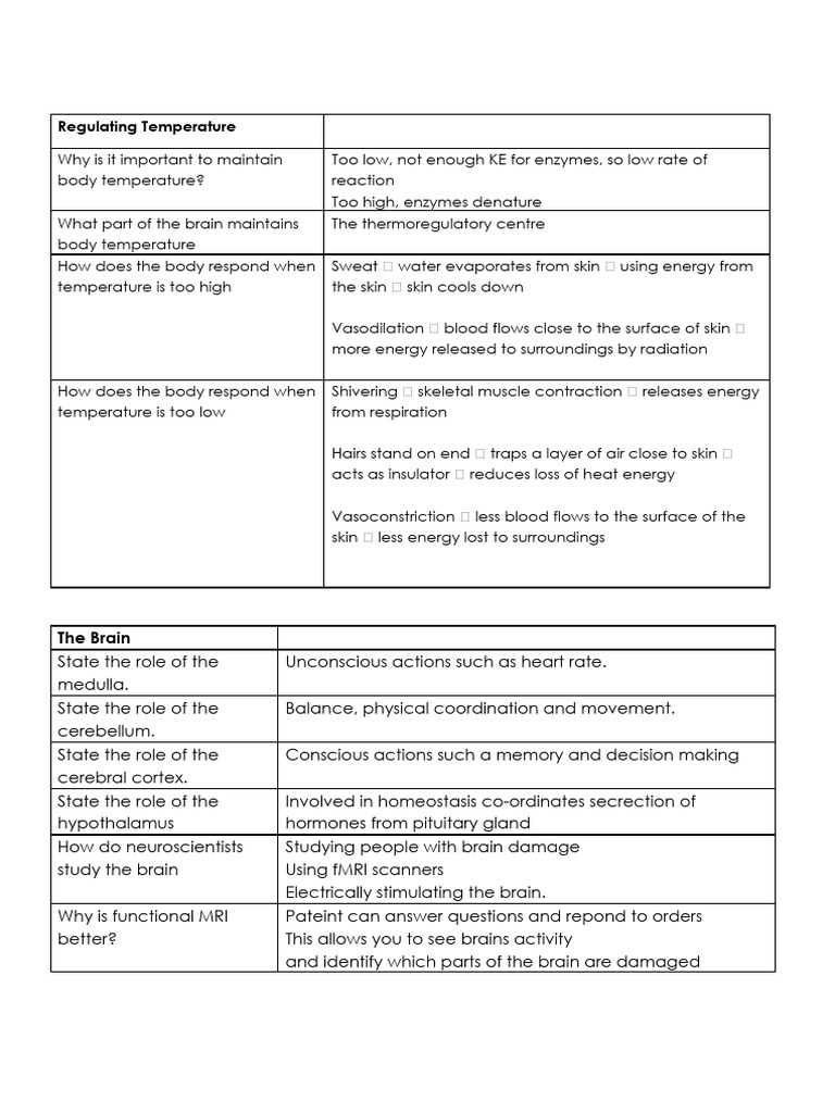 SS Unit 5 Homeostasis Recall Sheet | PDF | Auxin