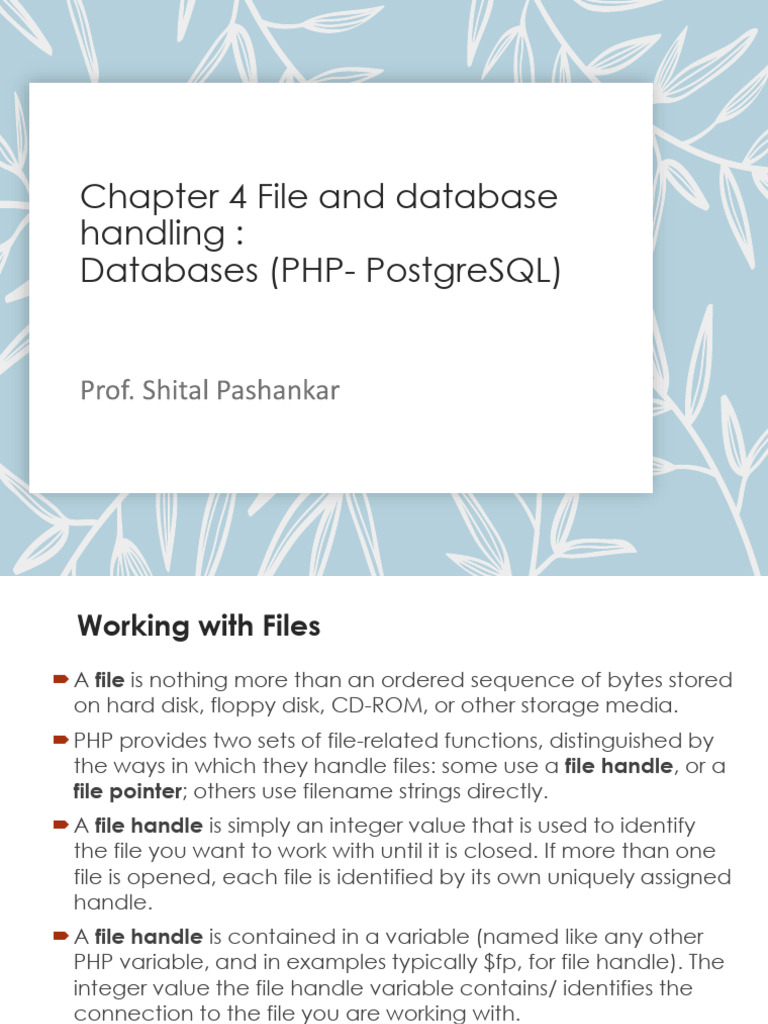 Chapter 4 Files & Database handling | PDF | Computer File | Sql