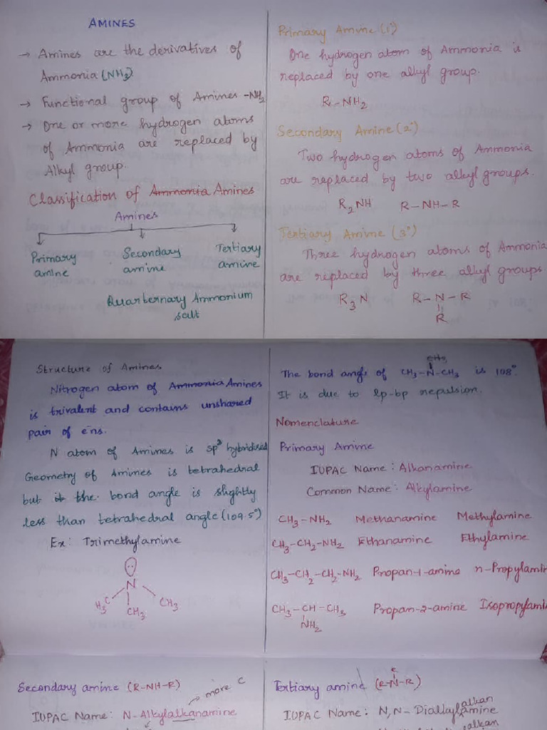 Amino Acid Profiles and Functions | PDF | Foreign Language Studies ...