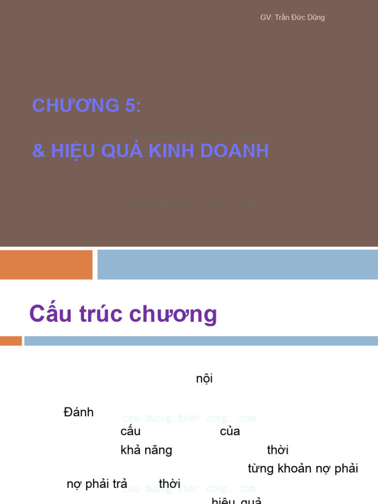 Phan-Tich-Kinh-Doanh - Tran-Duc-Dung - Chuong-5 - (Cuuduongthancong - Com) | PDF