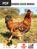 Road Runner Chicken Farming Guide | PDF | Chicken | Egg