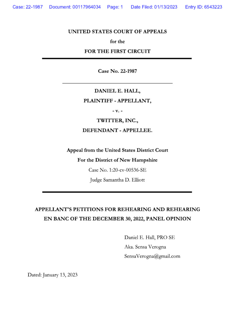 Motion For Rehearing | PDF