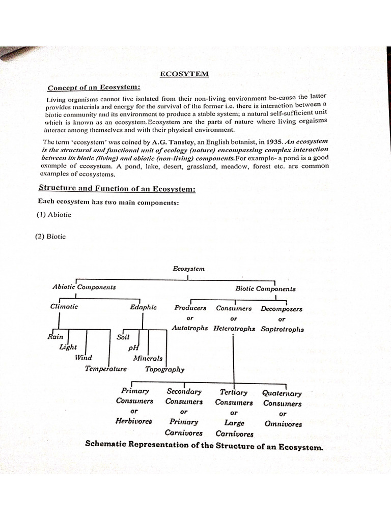 Ecosystem, Food Chain, Food Web, Eco Pyramid, Bio Cycles | PDF