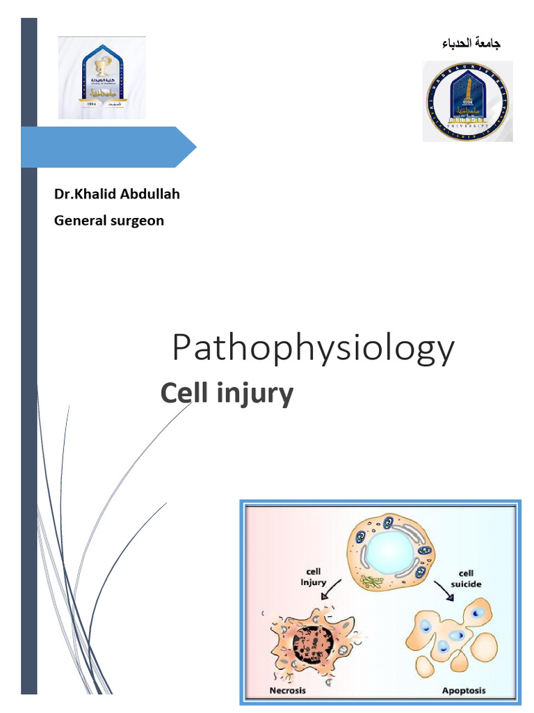 Path Lec3 | PDF