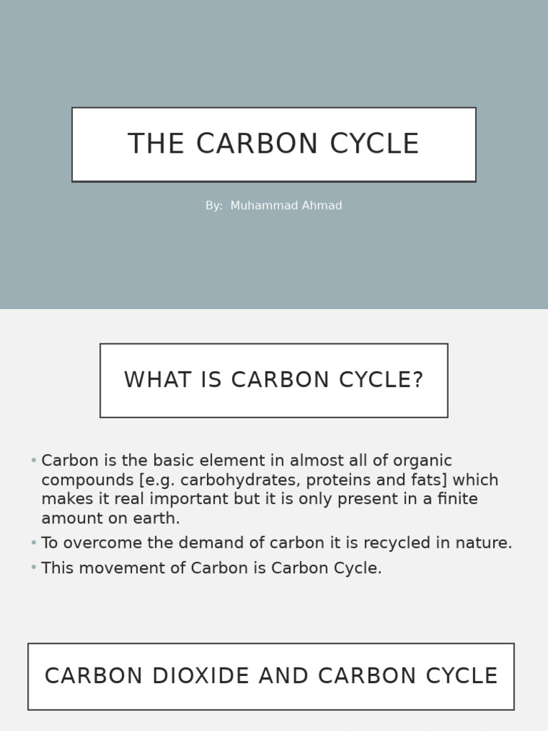 The Carbon Cycle (1) | PDF | Carbon Dioxide | Photosynthesis