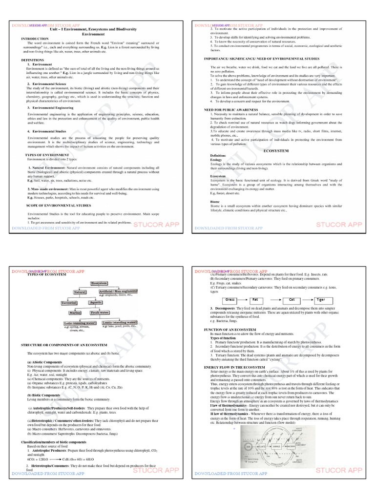 GE8291 Environmental Science and Engineering | PDF | Ecosystem | Food Web