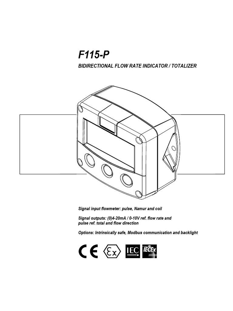 Bidirectional Flow Rate Indicator / Totalizer: Analog, Pulse Signal and ...