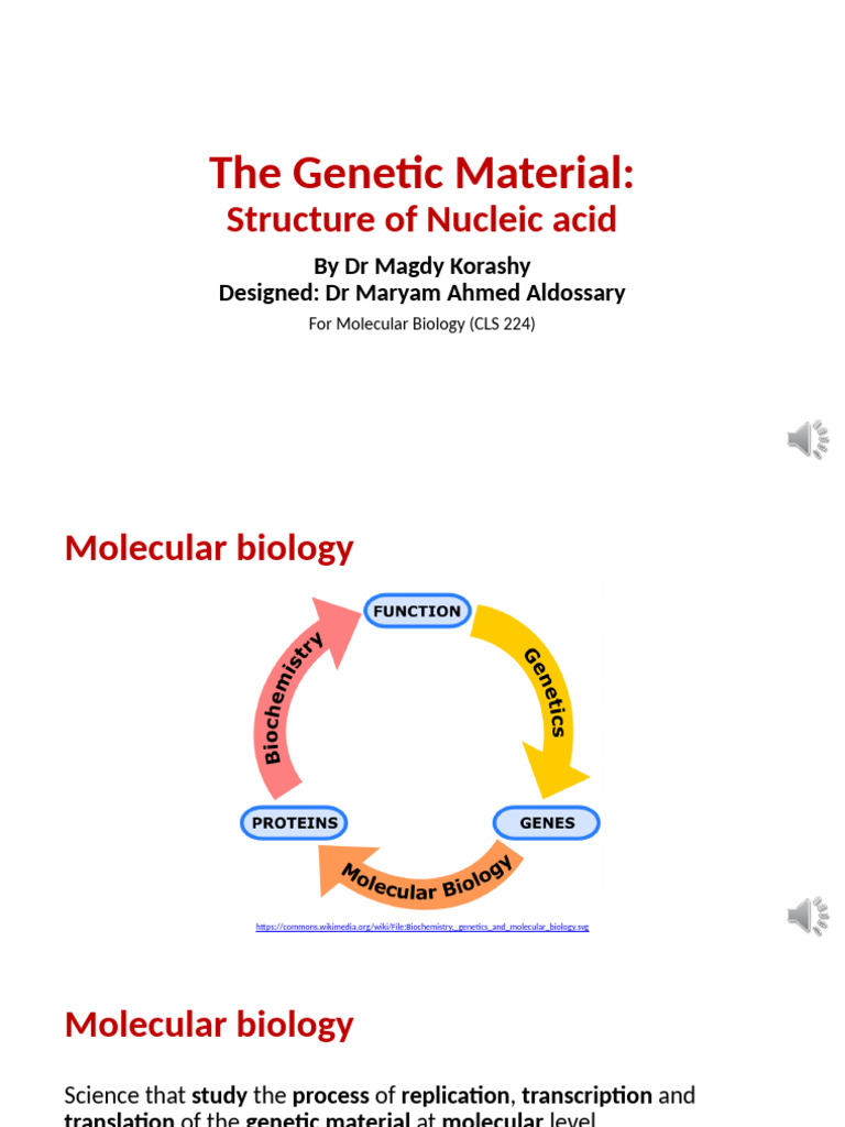 Genetic Material Structure of Nucleic Acid | PDF | Nucleotides | Dna