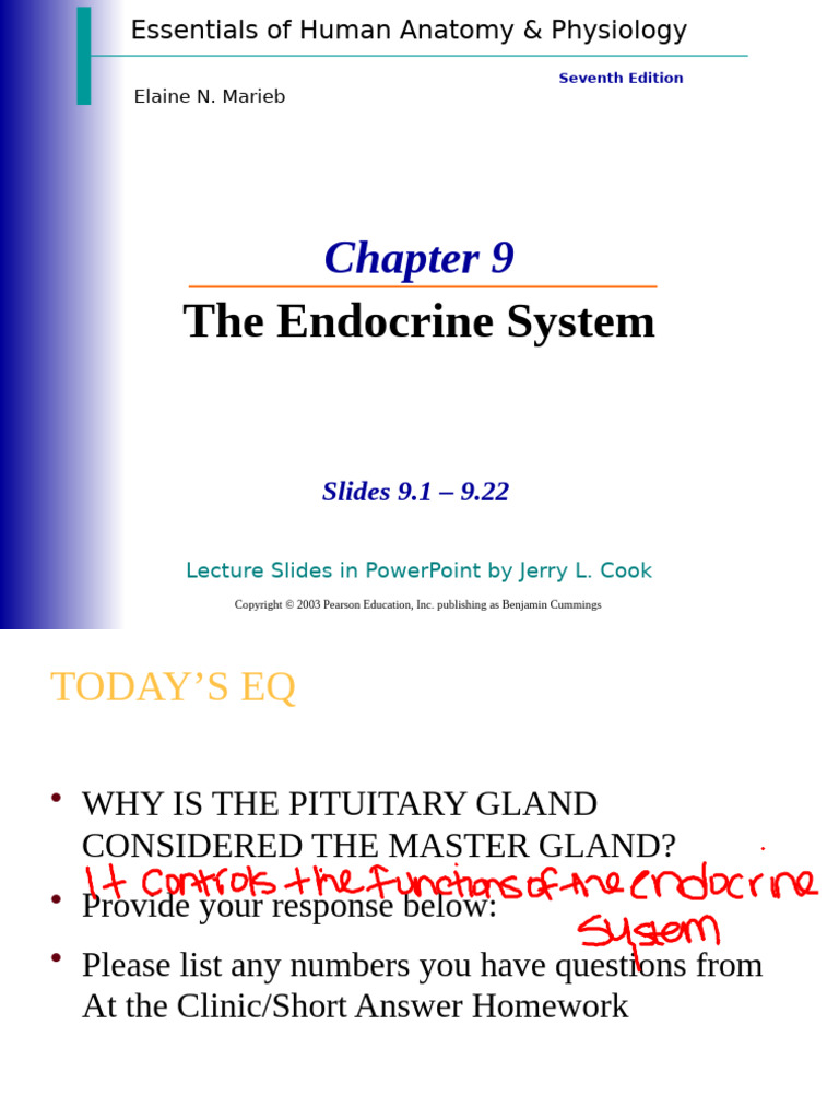Endocrine System CH 9 | PDF | Adrenal Gland | Hormone