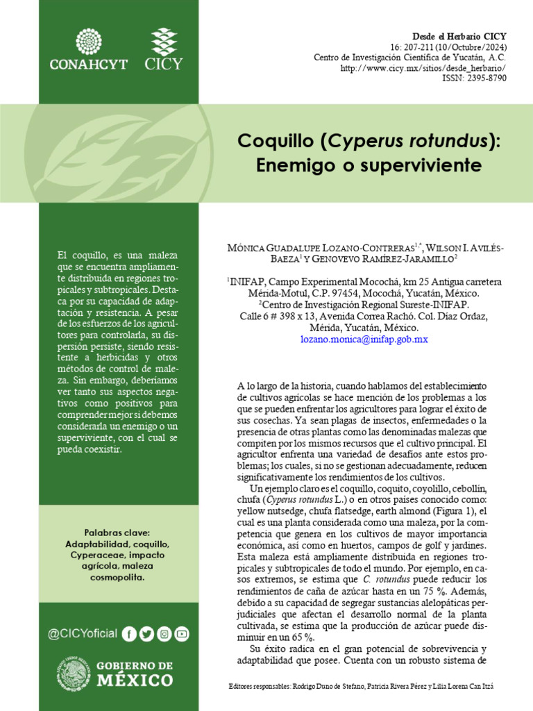 Coquillo: Maleza Resiliente y Adaptable | PDF | Hierba | Agricultura