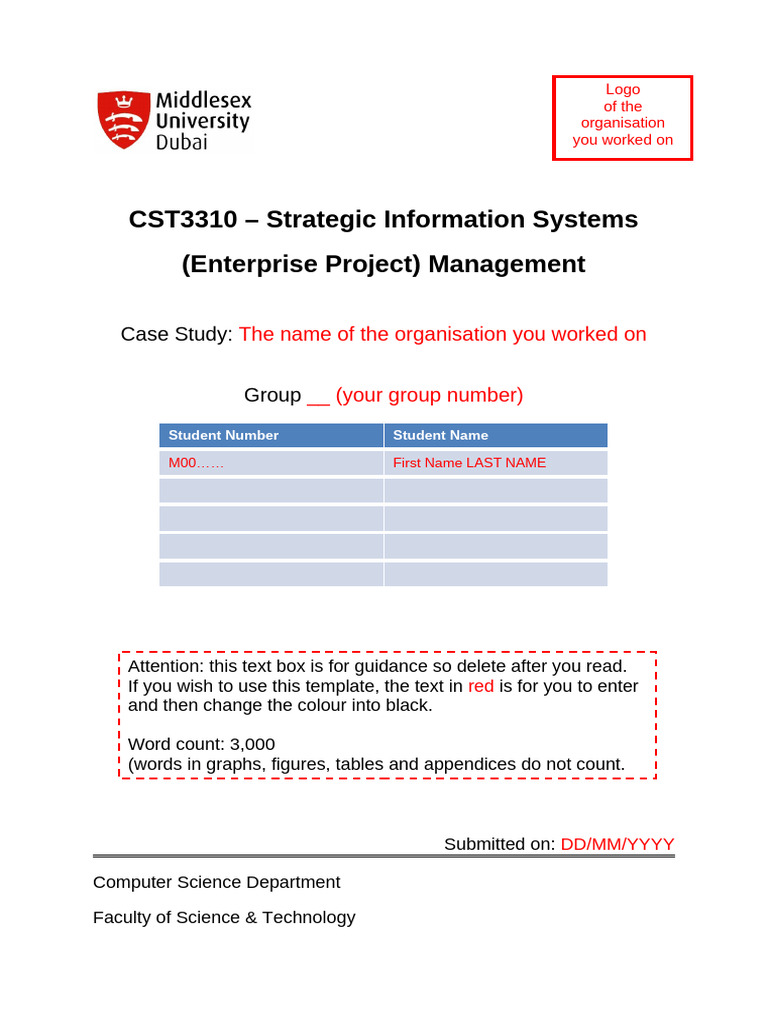 CST3310 - Group Report Template - 2024 - Upload | PDF | Strategic ...