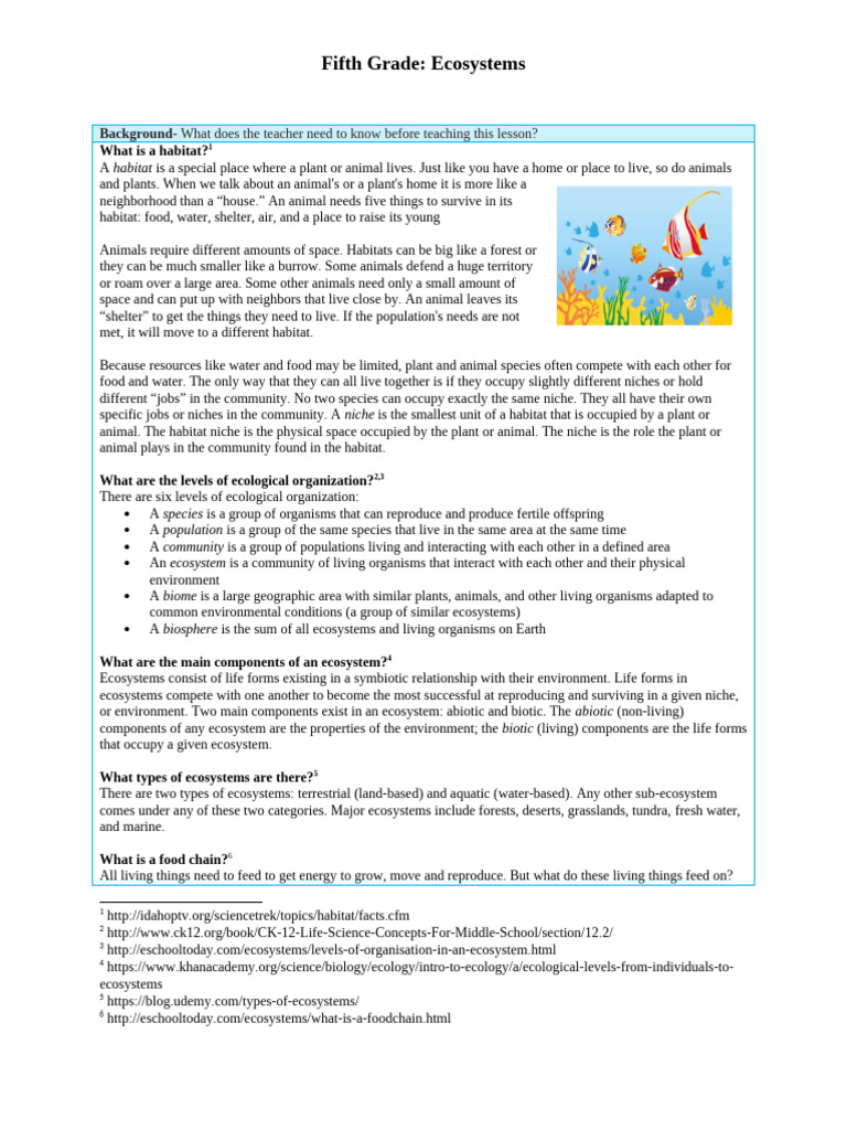 5th Grade Ecosystem Lesson Plan (FINAL) | PDF | Ecosystem | Predation