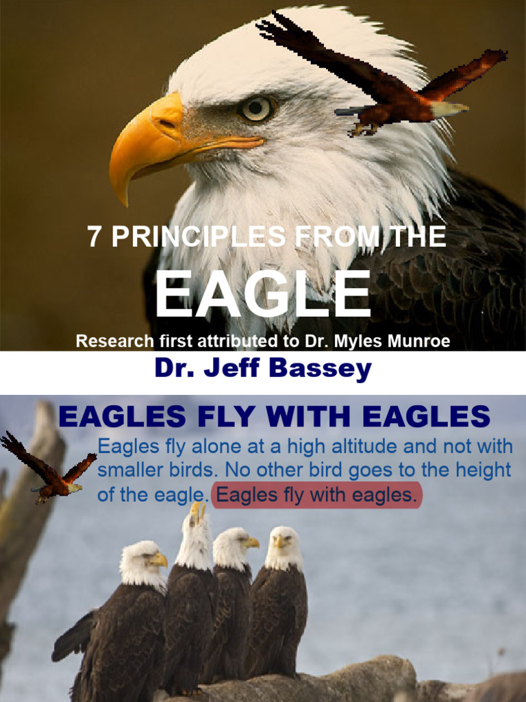 THE EAGLE | PDF | Birds