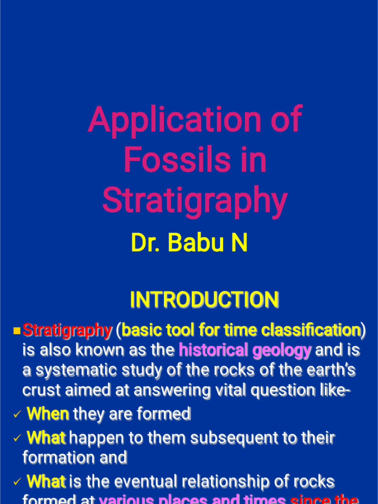 Biostratigraphy Application DR - BN B.SC. | PDF | Geology | Earth Sciences
