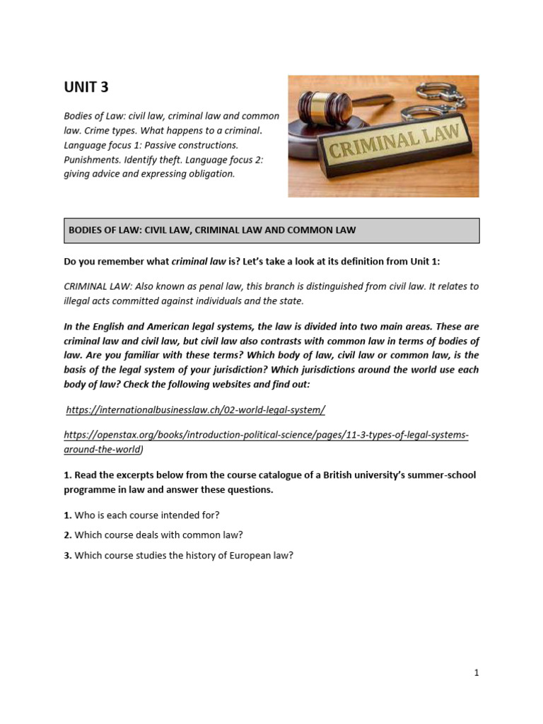 Booklet - UNIT 3 | PDF | Identity Theft | Burglary