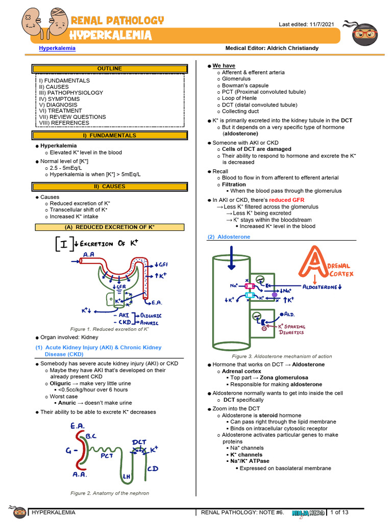 Hyperkalemia Etiology, Pathophysiology, Clinical Features, Diagnosis, Treatment Atf | PDF ...