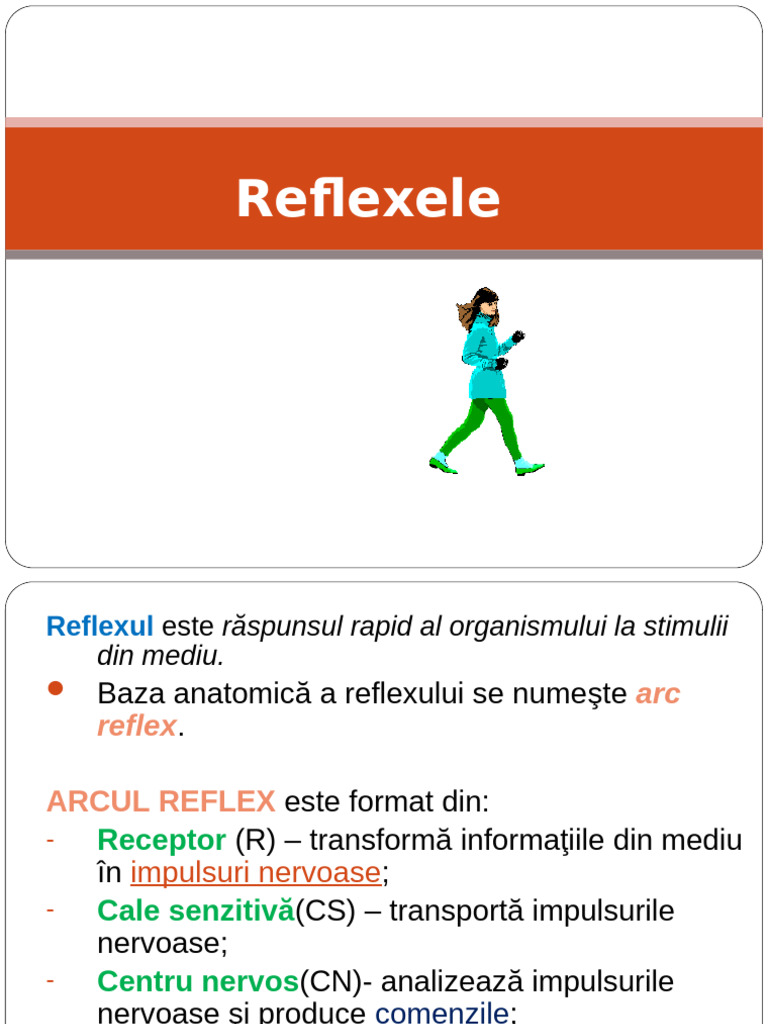 Reflex Ul | PDF