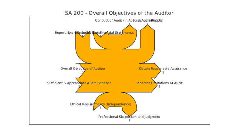 Overall Objectives of the Auditor | PDF | Business | Technology ...