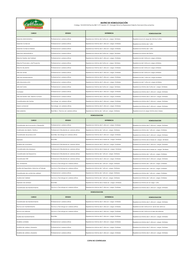 Tlh-Doc04 Matriz de Homologación V1 | PDF | Business | Economias
