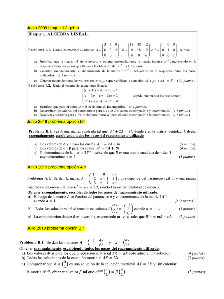 Ejercicios Matrices Pau | PDF