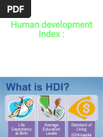 HDI Project Class12 | PDF