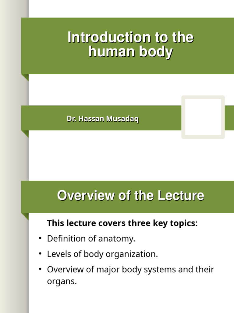 Introduction of Human Body | PDF | Muscle | Anatomy