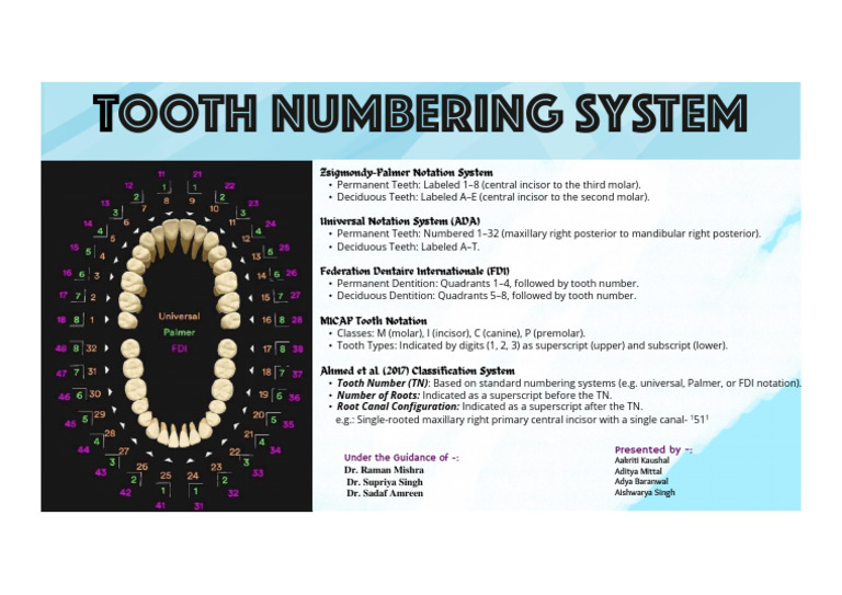 Tooth Numbering System | PDF