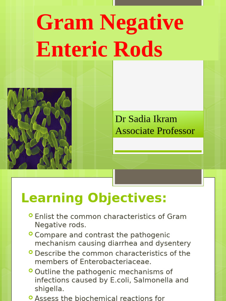 Gram-Negative Enteric Rods Overview | PDF | Salmonella | Escherichia Coli