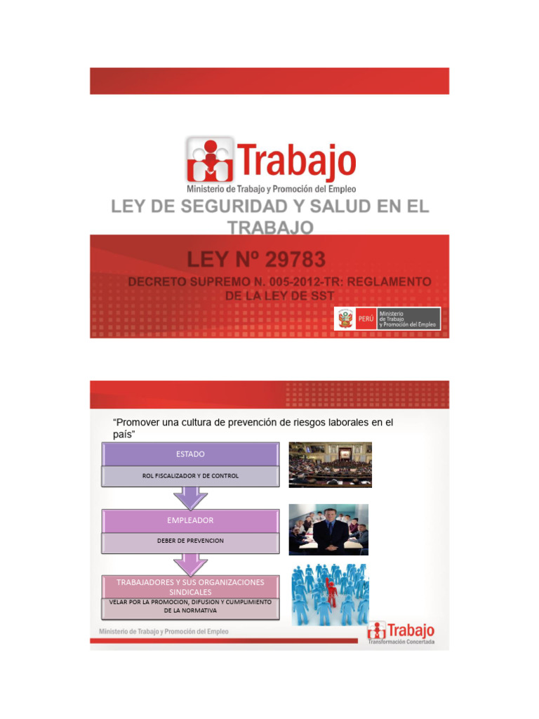 Normas Legales - Ley y Reglamento SST | PDF | Seguridad y salud ocupacional | Derecho laboral