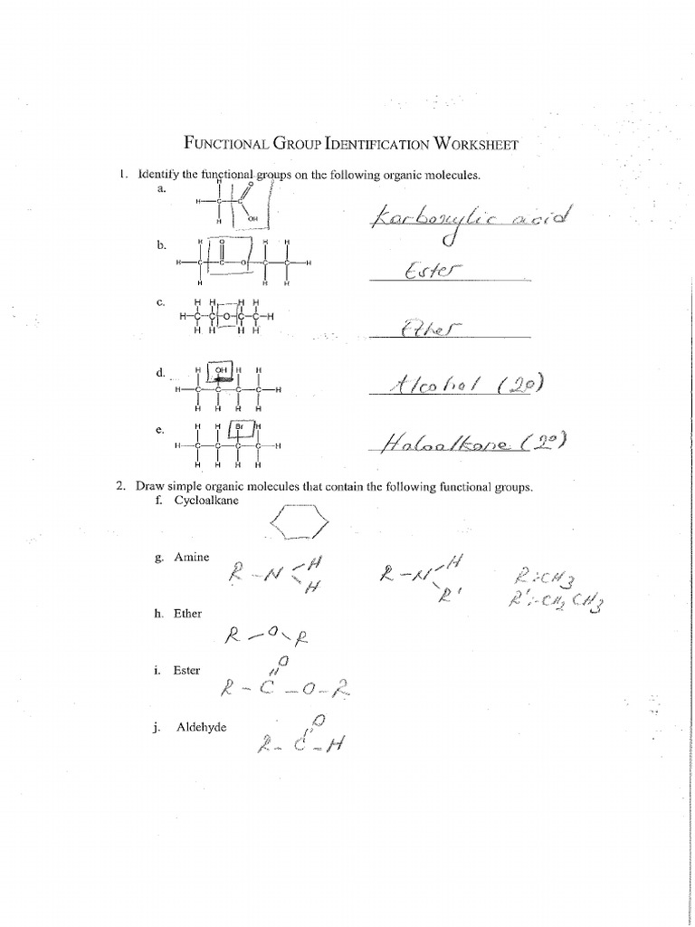 Functional - Groups - WS1 KEY | PDF