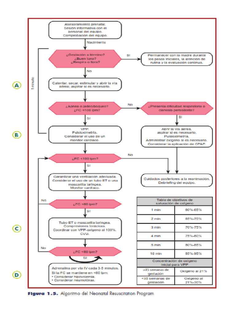 Algoritmo de RPN | PDF