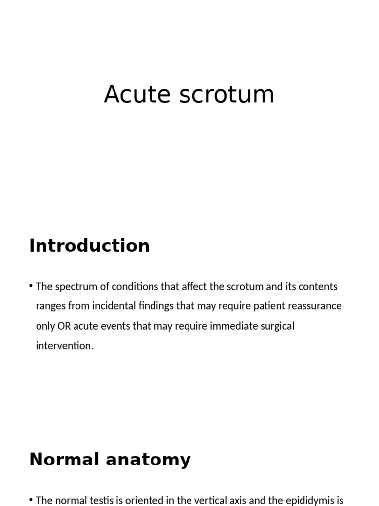 Acute scrotum | PDF | Testicle | Medicine