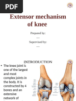 Screw Home Mechanism | PDF | Knee | Musculoskeletal System