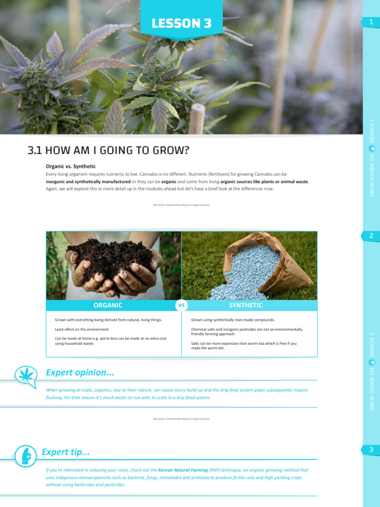 Cannabis Grow Course 101 - Module 1 - Introduction To Growing Cannabis ...