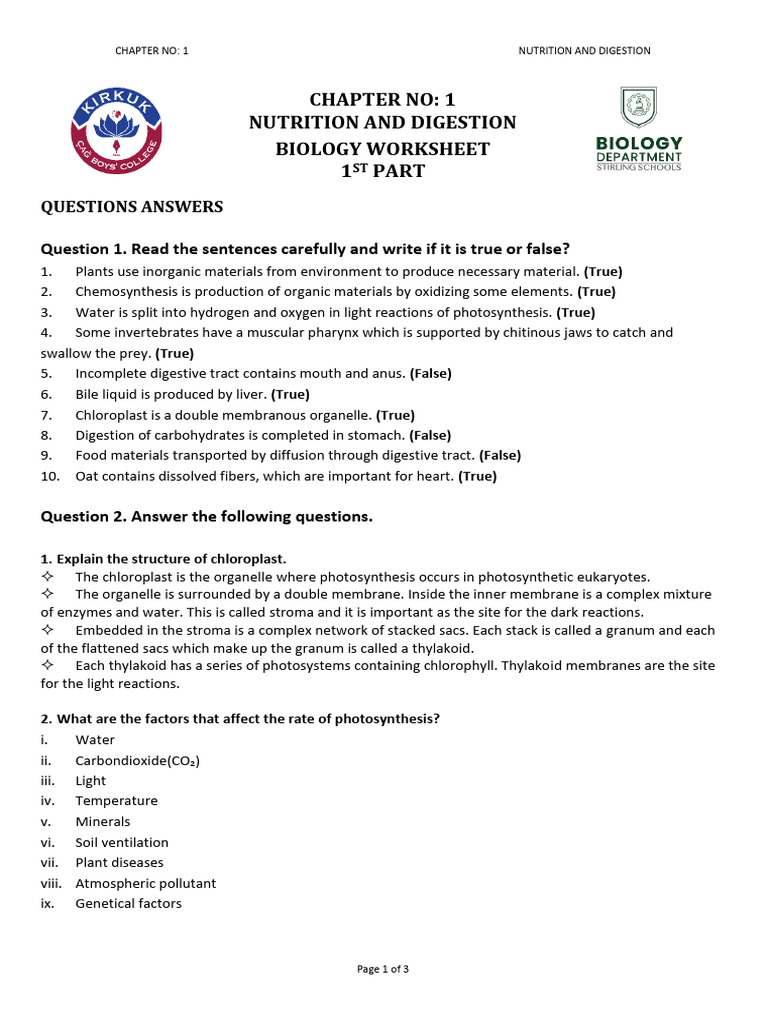 Grade 11 - Nutrition and Digestion - 1st Part | PDF | Photosynthesis ...