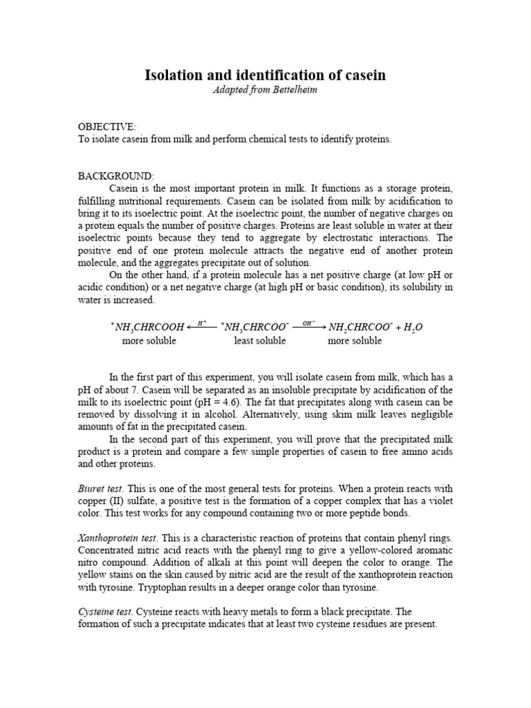 Casein | PDF | Precipitation (Chemistry) | Proteins