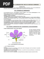 Le Carpelle : Organe des Angiospermes | PDF | Fruit | Embryon