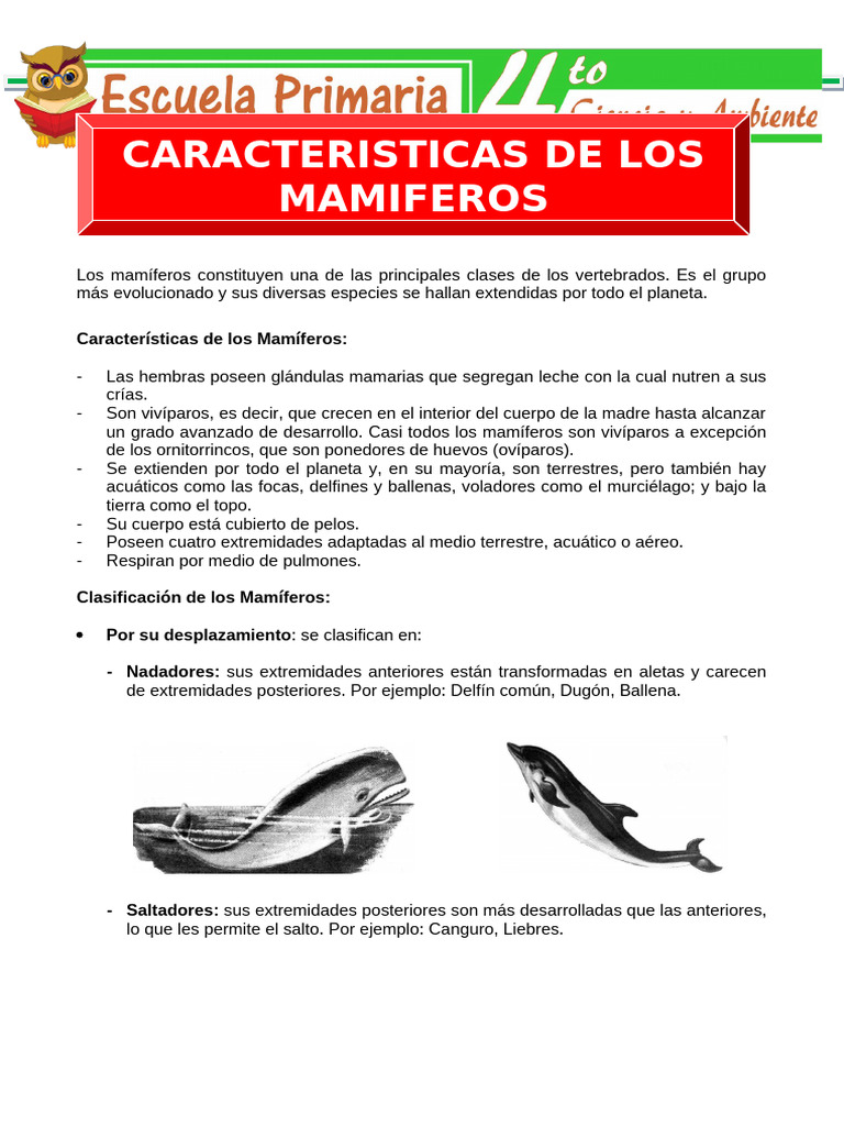 Caracteristicas de Los Mamiferos para Cuarto de Primaria | PDF ...