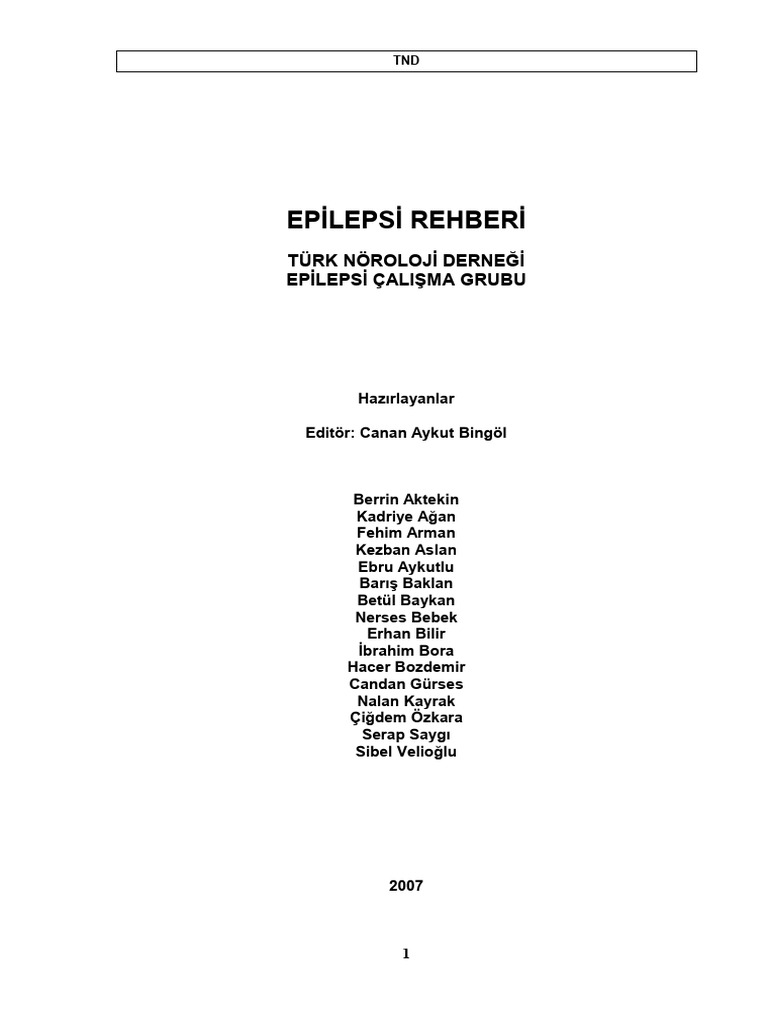 Epi Lepsi | PDF