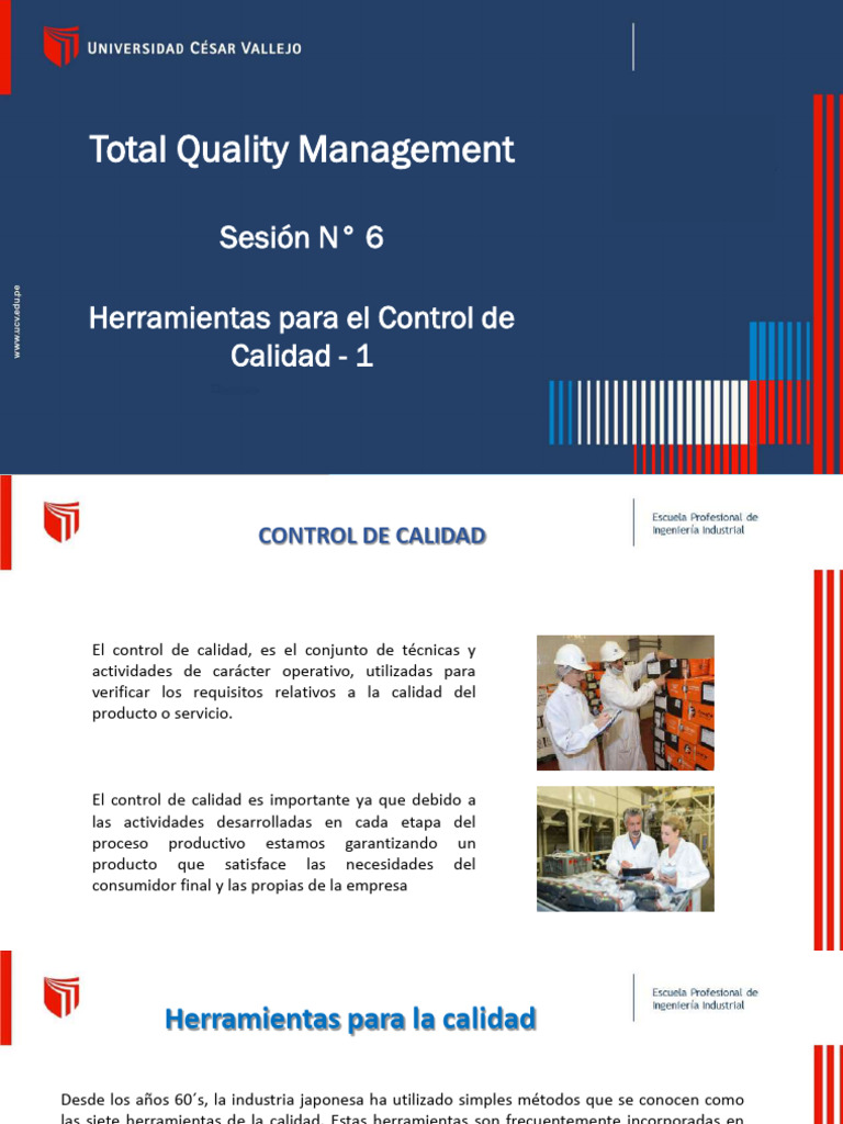 Sesion 6 | PDF | Calidad (comercial) | Histograma